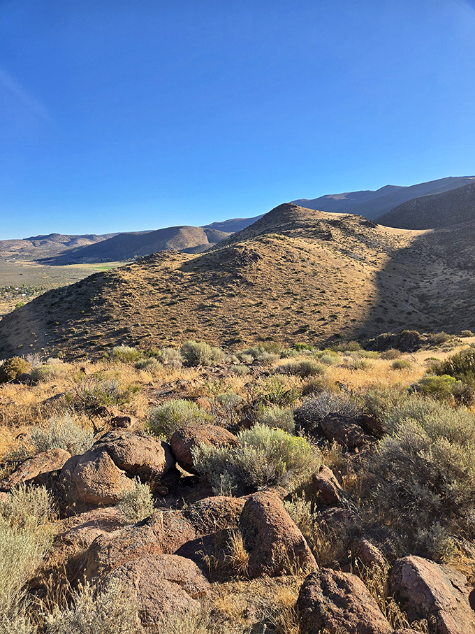 The desert has its own kind of majesty. These sun-baked hills and sagebrush slopes tell stories older than any human inhabitant.