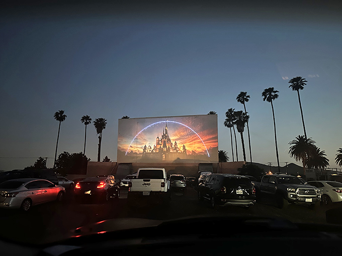 Movie magic begins with the Disney castle&mdash;palm trees silhouetted against the twilight sky create California's perfect theater setting.