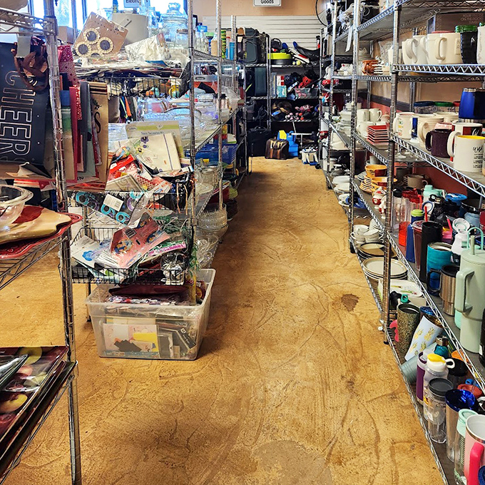 A housewares aisle that would make Marie Kondo weep with joy&mdash;organized chaos where someone's discarded kitchenware becomes your dining room conversation piece.