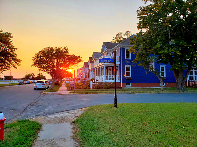 Harbor Avenue at sunset, where Victorian homes glow golden and street signs stand sentinel over a neighborhood that time politely decided to respect.