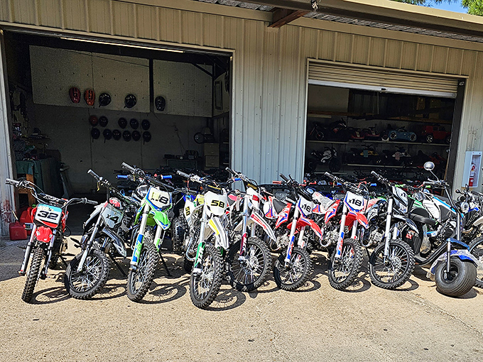 Mechanical stallions lined up and ready for adventure. For some Texans, these dirt bikes represent weekend freedom that no luxury sedan could ever provide.
