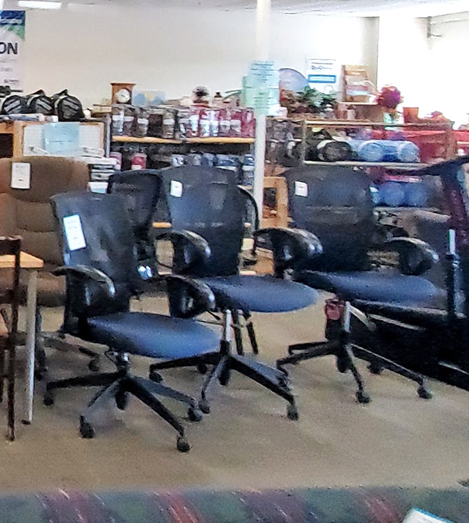 Office chairs lined up like eager job applicants, each one promising to support your work-from-home dreams without breaking the bank.