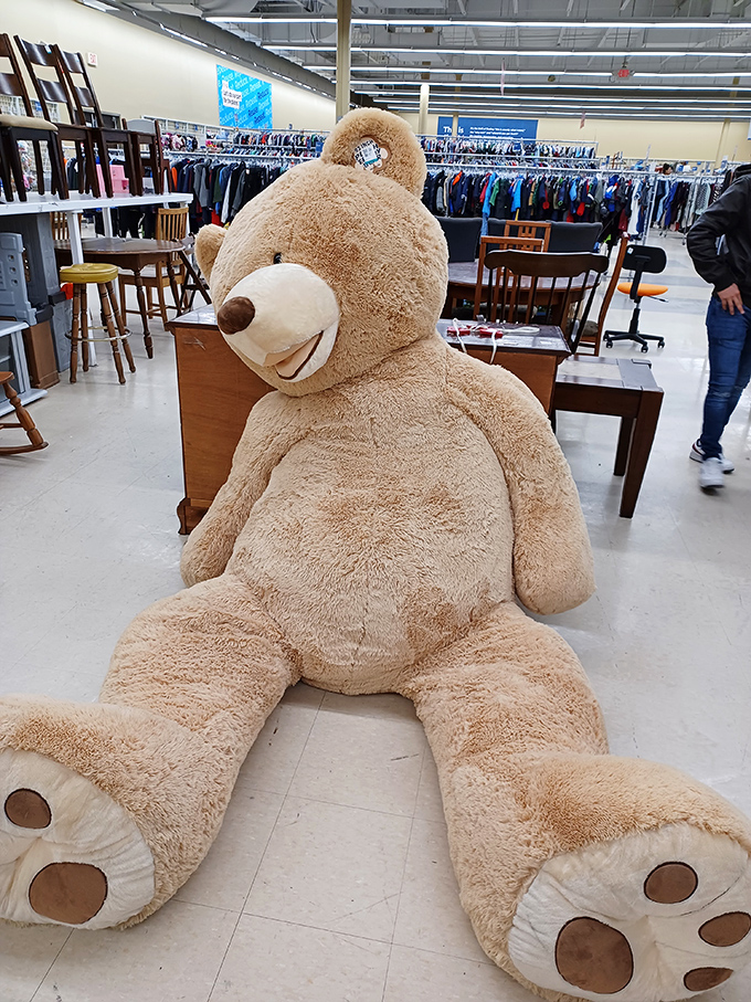 The gentle giant of the stuffed animal kingdom stands guard over the furniture section. Perfect for grandkids or, let's be honest, yourself.