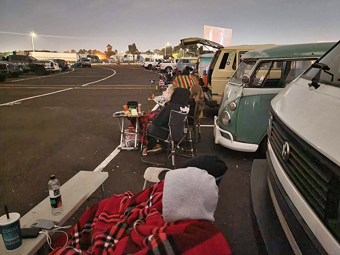 Families gather as daylight fades, that golden hour when anticipation builds and memories start forming.