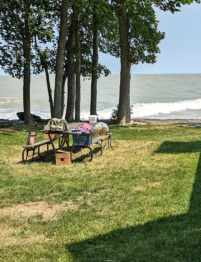 Picnic perfection: where lunch comes with a side of gentle waves and tall trees providing nature's own dining canopy.