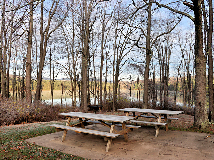 Winter's quiet beauty revealed. These picnic tables patiently waiting for spring tell a story of seasons in transition at Hills Creek.