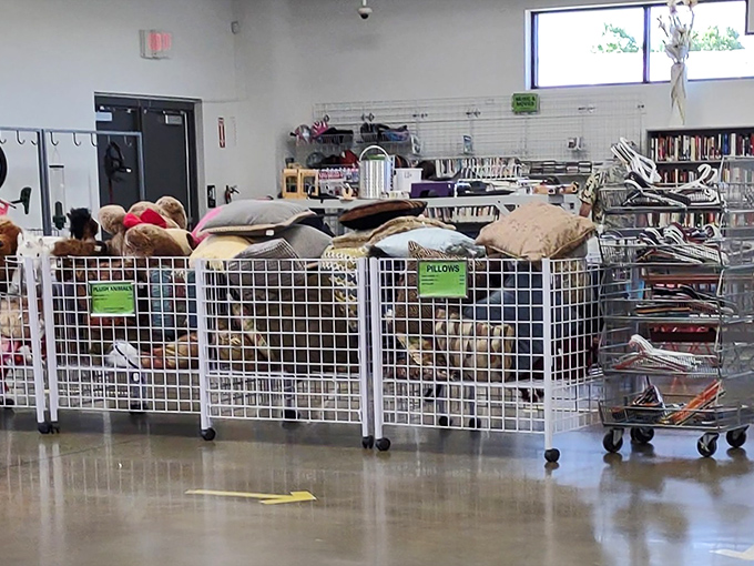 Pillow paradise! These cushioned treasures wait patiently in their wire corrals for the chance to grace your couch or support your nap habits.