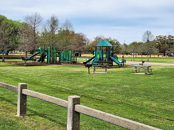 Playground paradise where kids burn energy while parents secretly wish the slides were adult-sized. Nature's babysitter at its finest.