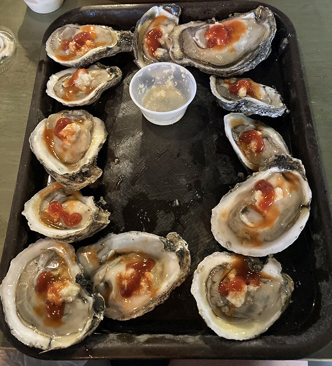 Raw oysters on the half shell&mdash;glistening, pristine, and ready for a squeeze of lemon. The ocean's perfect appetizer awaits.