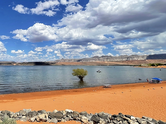 A lone tree stands sentinel over Sand Hollow's peaceful shoreline. That picnic table is practically begging you to unwrap a sandwich.