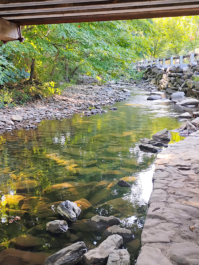 Owens Creek flows beneath the bridge, providing a soundtrack of rushing water that no meditation app could replicate.