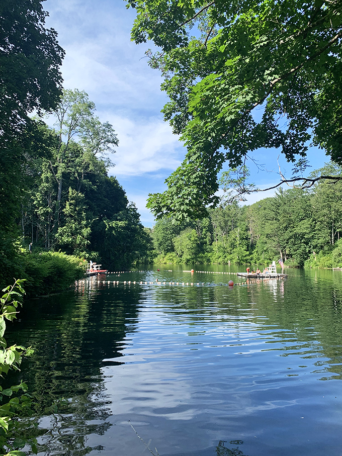 Summer's perfect reflection: crystal clear waters bordered by verdant forest create nature's mirror, proving Massachusetts has swimming spots that rival any tropical paradise.