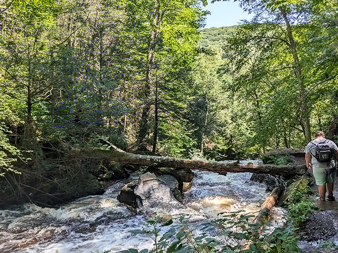 Mother Nature's mood swings on full display. This rushing stream after rainfall shows why sensible hikers pack waterproof everything&mdash;and maybe an ark.