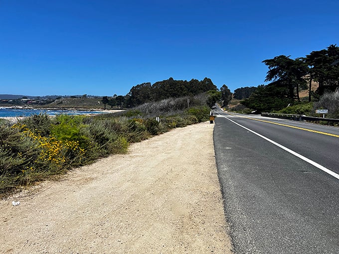 The road less traveled? Not exactly. But with views like this alongside Highway 1, you'll understand why everyone's willing to share.