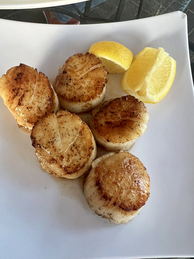 These golden-seared scallops with their caramelized crust are the ocean's candy—sweet, tender, and gone too quickly.