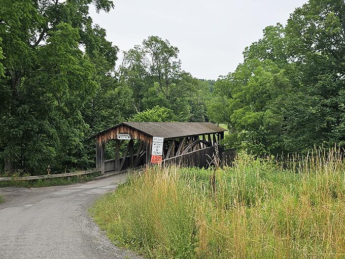 The approach to Knapp's Bridge feels like discovering a secret. This humble country road leads to one of Pennsylvania's most photogenic historical treasures.
