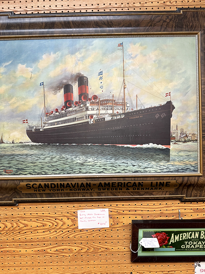Maritime majesty captured in oils&mdash;the Scandinavian-American Line poster art that transports you across oceans without leaving Nebraska. Travel nostalgia at its finest.