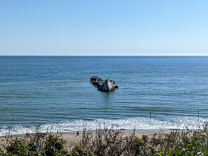 The SS Palo Alto, California's famous "Cement Ship," rests in peaceful retirement after a colorful past that included life as a 1920s dance hall.