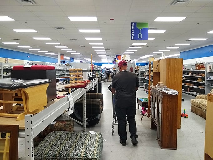 Thrift store aisles: where shoppers develop the focus of chess grandmasters, scanning for that perfect piece while maintaining peripheral vision for approaching bargain hunters.