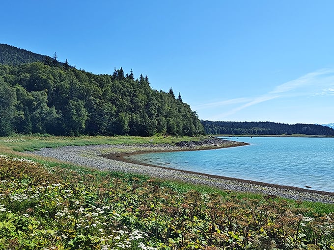 Beach day, Alaska style! Swap your beach umbrella for spruce trees and trade sand castles for driftwood sculptures along this pristine shoreline.