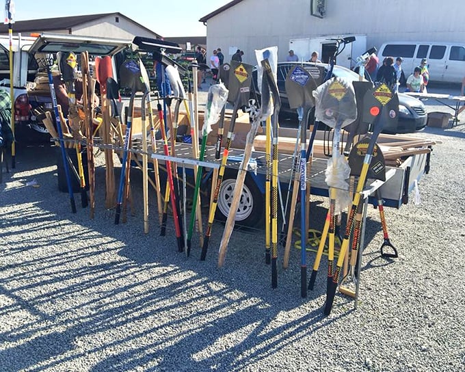 The garden tool section stands like a forest of possibilities, each handle promising weekend projects and the satisfaction of dirt under fingernails.