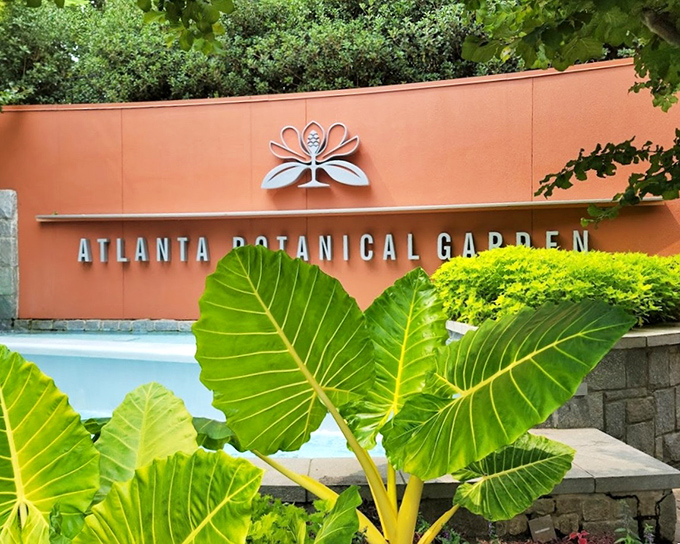 The entrance sign promises botanical adventures beyond, those massive tropical leaves standing guard like nature's own welcoming committee.