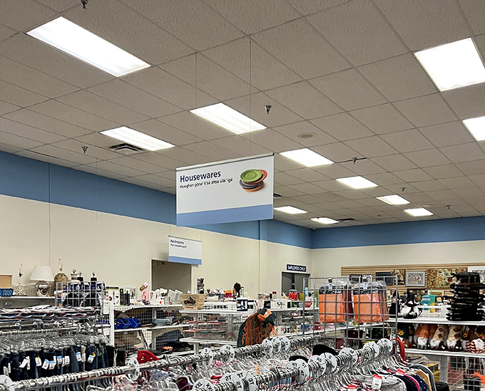 Clear department signs guide you through this bargain wilderness. "Housewares" might as well read "Adventure This Way."