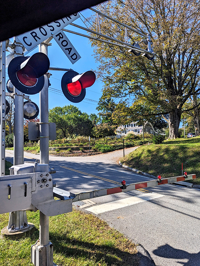 Railroad crossing signals still doing their job after generations, proving some technology doesn't need constant updates.