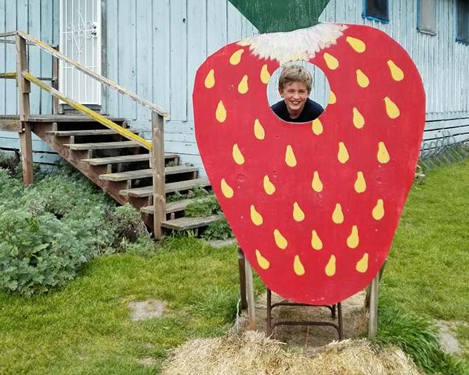 Every farm needs a strawberry photo op. This one's been creating family memories since before "selfie" entered the dictionary.