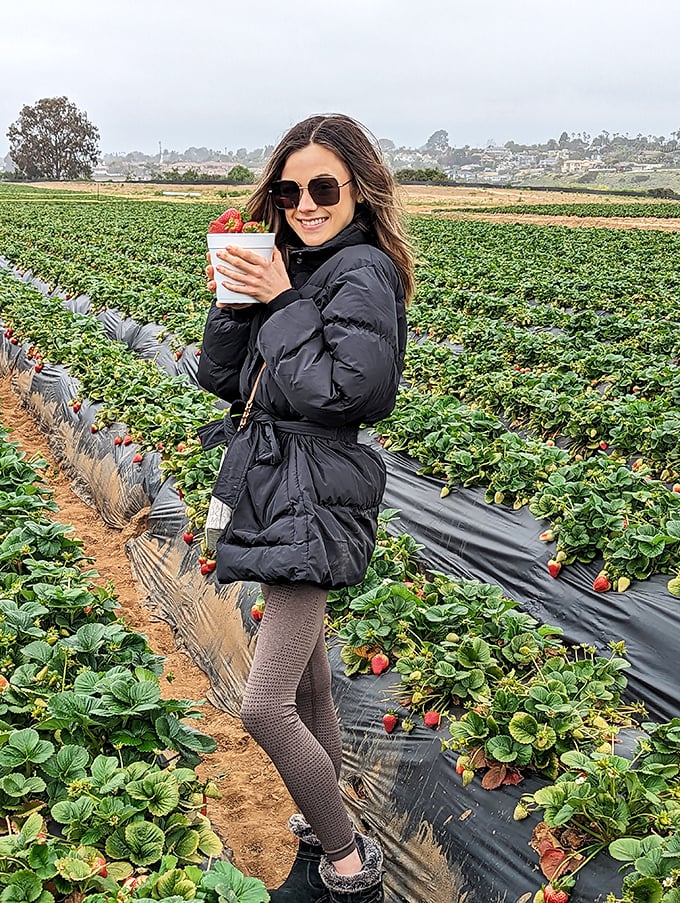 A visitor cradles her treasure trove of freshly picked berries, the kind of genuine smile that only comes from connecting with your food's origins.