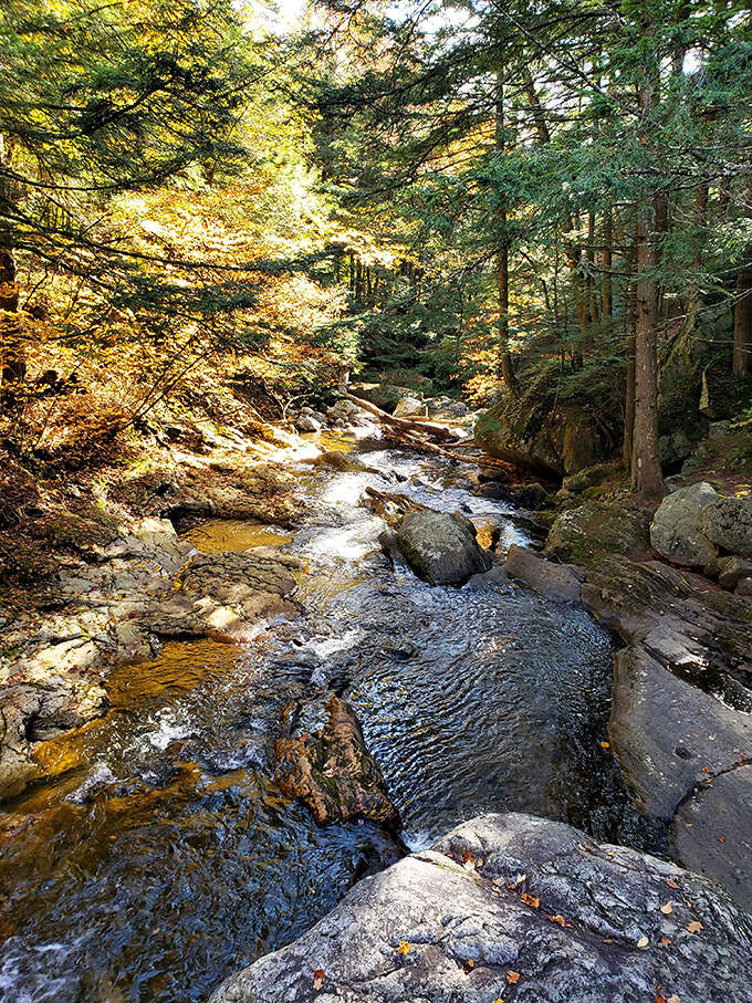 This babbling brook through autumn woods looks like it escaped from a Bob Ross painting. 