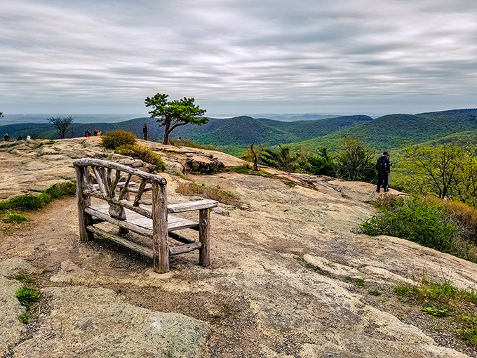 Nature's perfect viewing platform. This rustic bench invites you to sit and contemplate life's big questions, like "Why don't I do this more often?"
