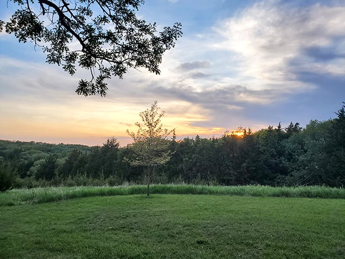 Mother Nature's evening show outperforms any Netflix special&mdash;no subscription required, just a willingness to pause and appreciate the view.
