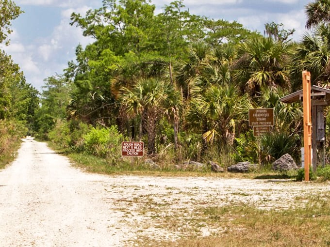 Park signage marks the boundary between everyday Florida and this pristine wilderness where alligators, not tourists, have the right of way.