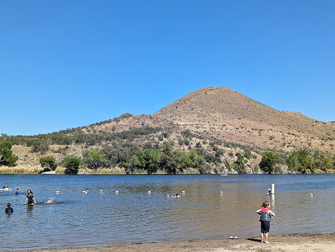 The swimming area offers a refreshing escape from Arizona heat so intense it makes you question your life choices and your car's air conditioning capacity.