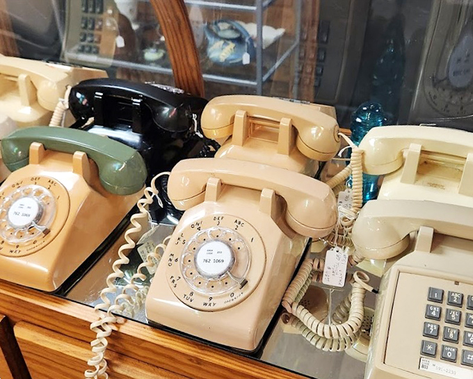 The rotary phone collection whispers of an era when calls were events and conversations weren't interrupted by notifications or text messages.