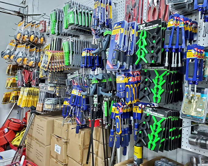 A tool enthusiast's paradise where professional-grade equipment hangs like artwork, each piece promising countless future projects and repairs. 