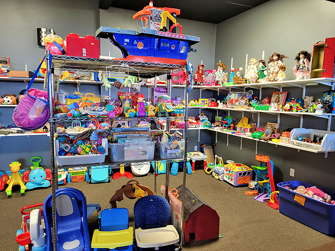 Toy paradise! From plastic playsets to plush pals, this colorful corner of childhood dreams would make even Marie Kondo reconsider minimalism.