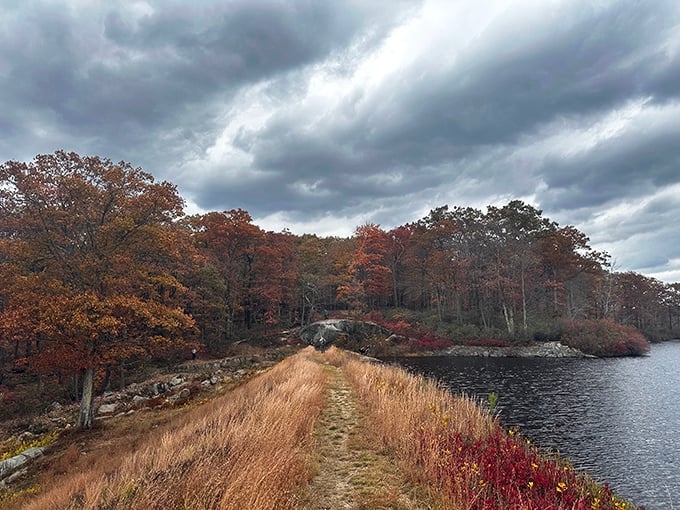 Nature's own causeway. This path between water and wilderness feels like walking through the pages of a storybook adventure.
