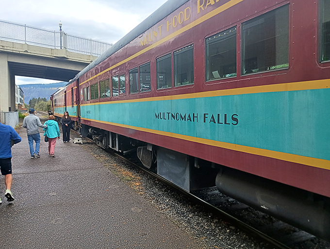 All dressed up and somewhere gorgeous to go! The colorful "Multnomah Falls" car welcomes passengers to step into a rolling piece of Pacific Northwest history.