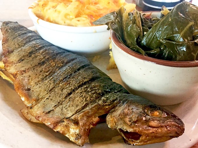 Whole ruby trout, smoked to perfection. Even fish gets the royal treatment at Podnah's, proving barbecue mastery extends beyond the four-legged protein options.