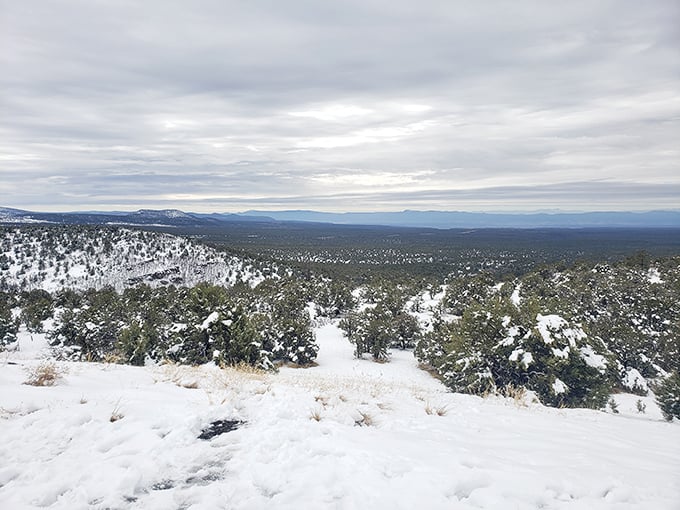 Winter's gentle touch transforms the overlook into a monochromatic masterpiece. Sweater weather with a side of spectacular.