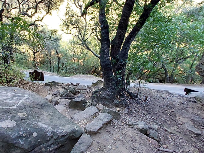 The path to enlightenment isn't always paved&mdash;this rustic trail leads visitors through oak-dappled sunlight to one of California's most significant indigenous art sites.