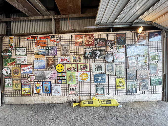 Wall of nostalgia for sale! These vintage-style signs offer the perfect way to announce your personality without saying a word.