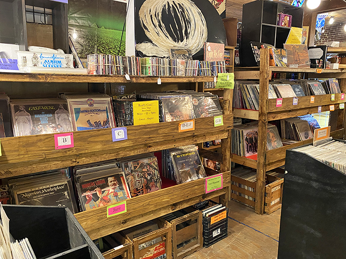 Vinyl heaven organized just enough to help you find Johnny Cash but chaotic enough to discover bands you forgot you loved.