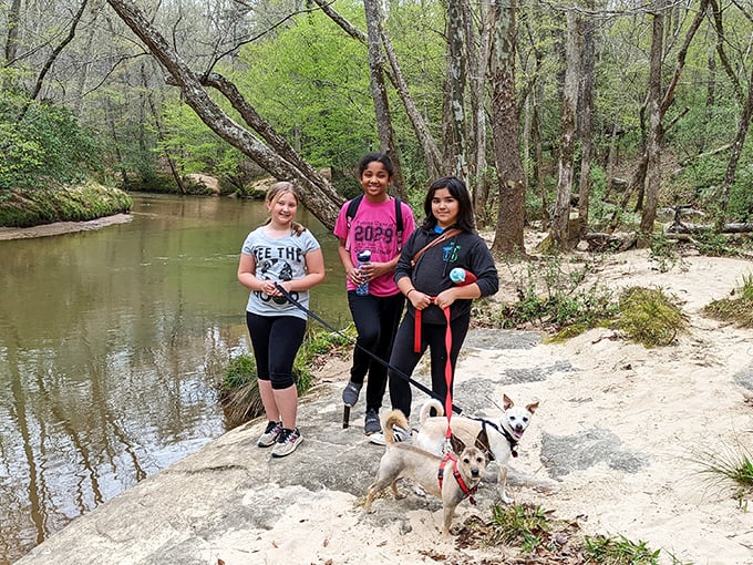 The joy of discovering creekside treasures with four-legged companions&mdash;proof that the best adventures don't require Wi-Fi, just wagging tails.