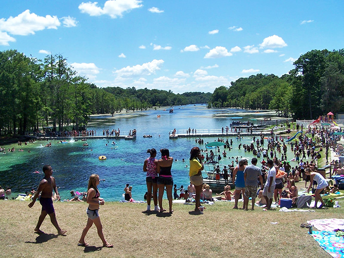 Florida's natural water park at its busiest &ndash; yet somehow the spring's vast blue expanse never feels crowded.