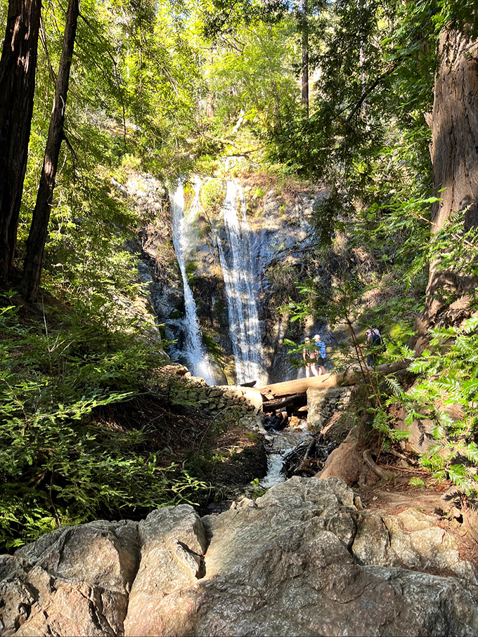 Pfeiffer Falls rewards hikers with nature's ultimate stress reliever. The sound of cascading water drowns out everything except your "wow."