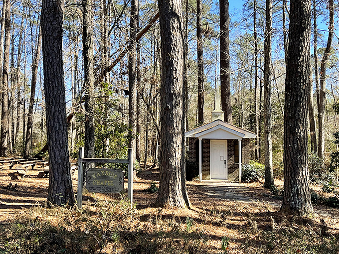 This charming wayside chapel proves that even in the wilderness, spiritual moments find their place among the pines and peaceful pathways.