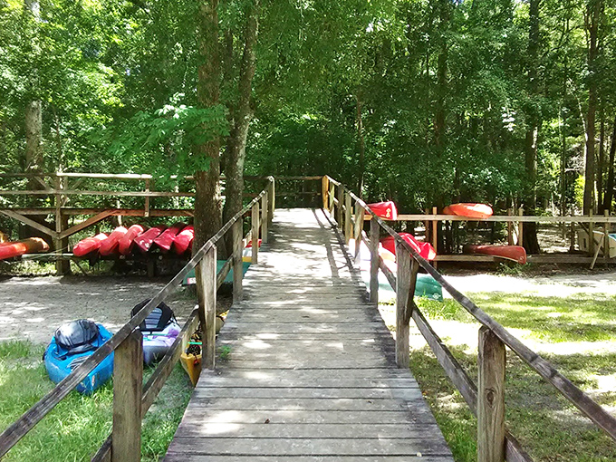 Wooden boardwalks lead to aquatic adventures. Those red canoes are your tickets to exploring the spring run's crystal corridor.